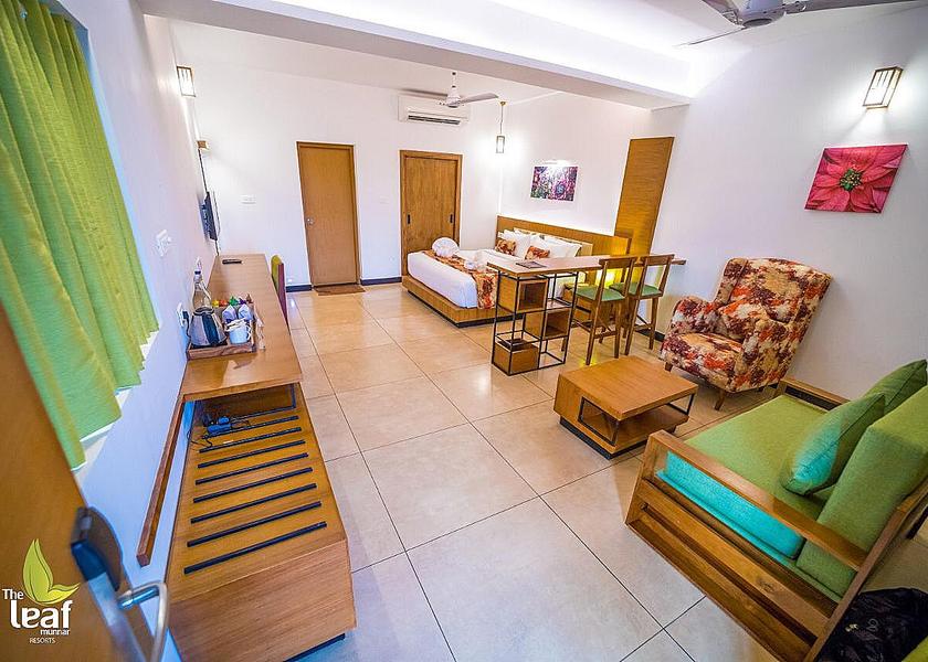 palmtree leaf munnar